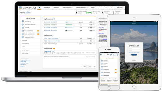 Deltek Time & Expense Alternative | DATABASICS